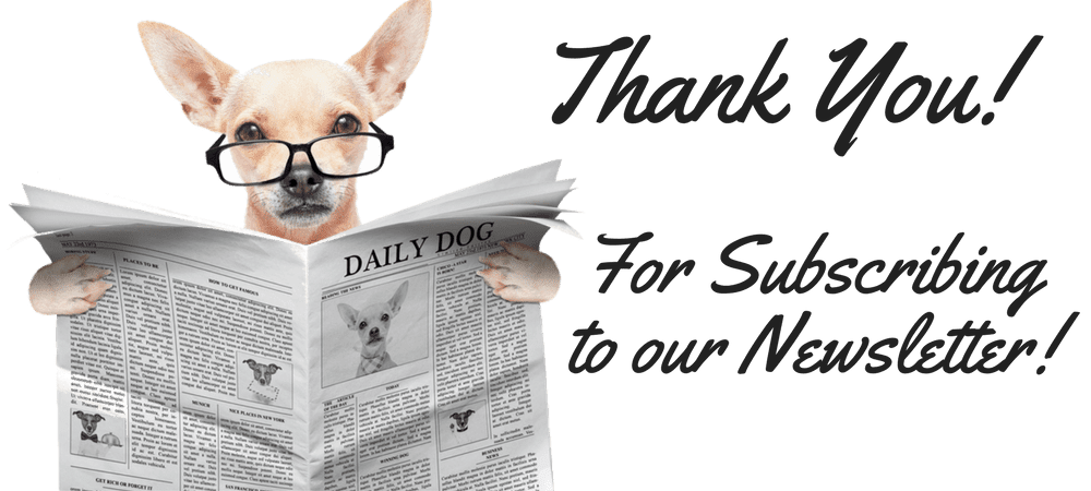 THANK YOU FOR SUBSCRIBING TO OUR NEWSLETTER!