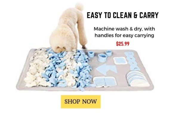 Snuffle Mats-Greatest Invention Since The Kong! These are my favorite!