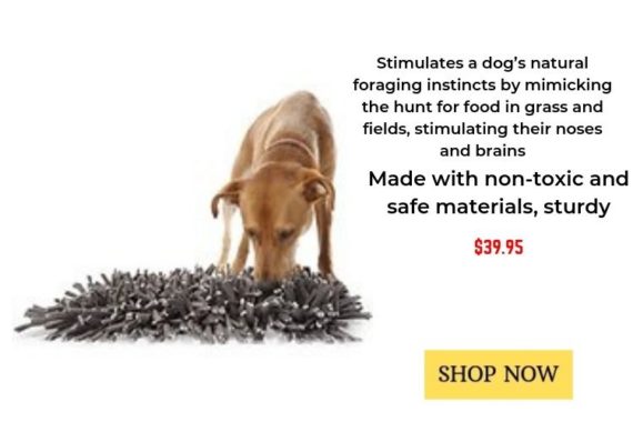 Snuffle Mats-Greatest Invention Since The Kong! These are my favorite!