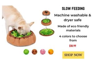 Snuffle Mats-Greatest Invention Since The Kong! These are my favorite!