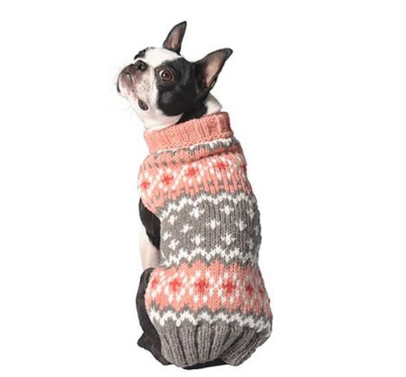 2021 Guide To Best Sweaters For Chihuahuas!