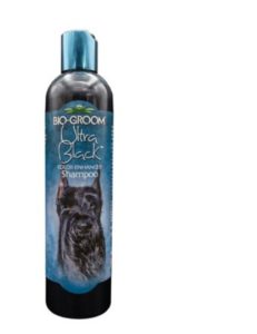How To Find The Right Shampoo For Your Chihuahua