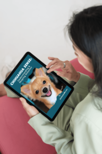 Chihuahua Sense-Understanding And Shaping Chihuahua Behavior Landing Page